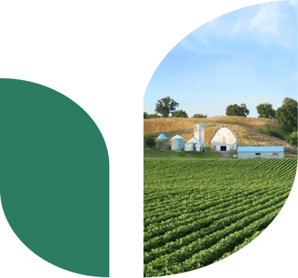 SALIC - Sectors KPI's