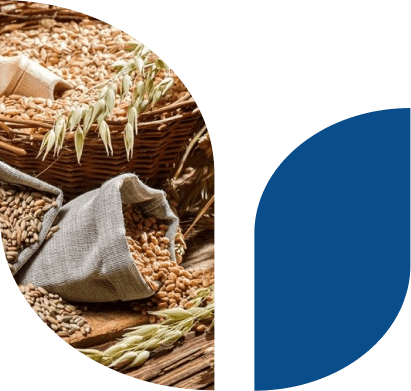 SALIC - Sectors KPI's