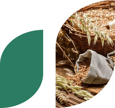 SALIC - Sectors KPI's